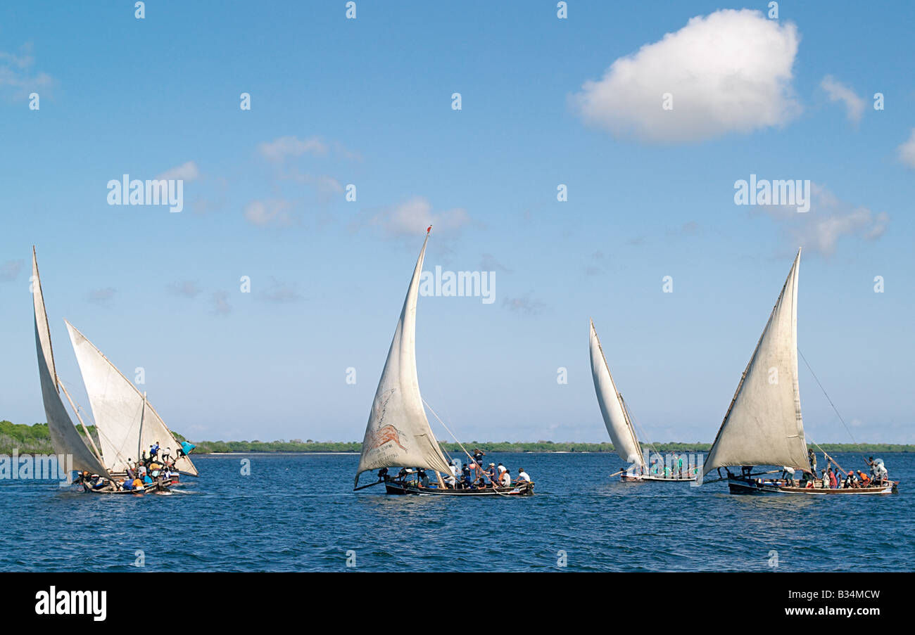 Kenya, Coast Province, Lamu Island. Dhows sailing off Lamu Island. Dhow ...