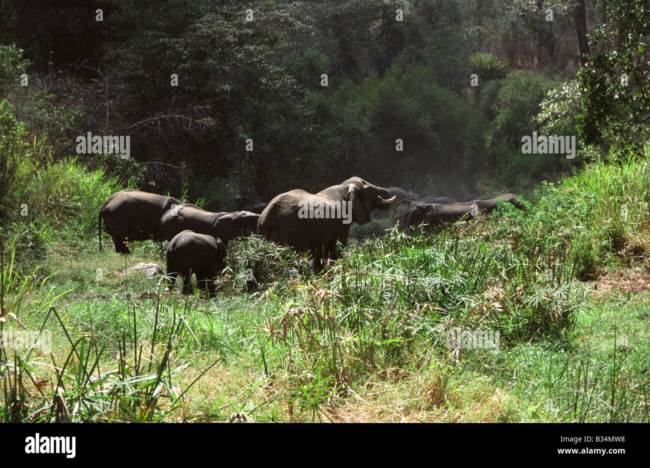 Matthews range kenya hi-res stock photography and images - Alamy