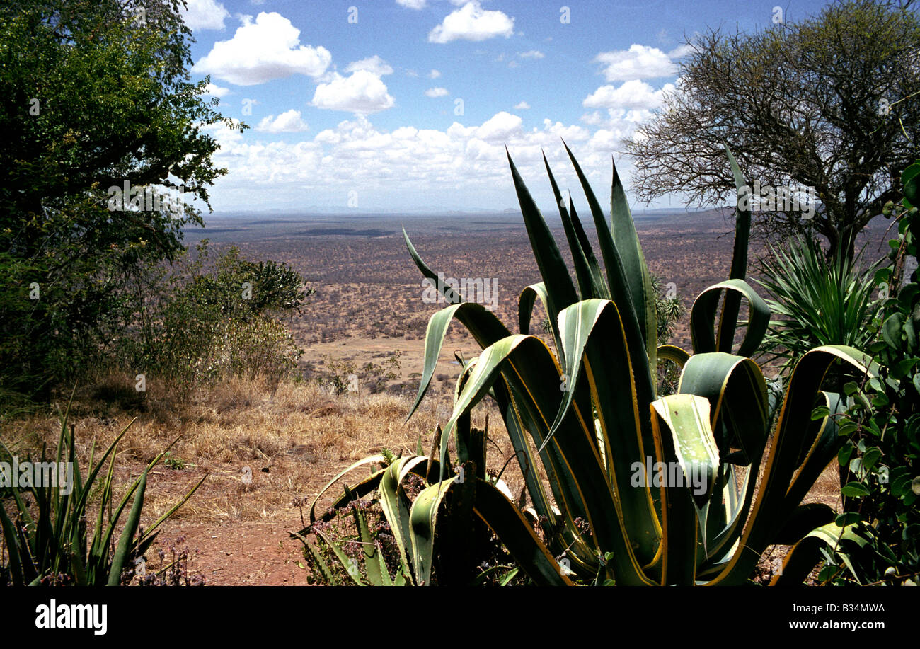 Laikipia plateau kenya hi-res stock photography and images - Alamy