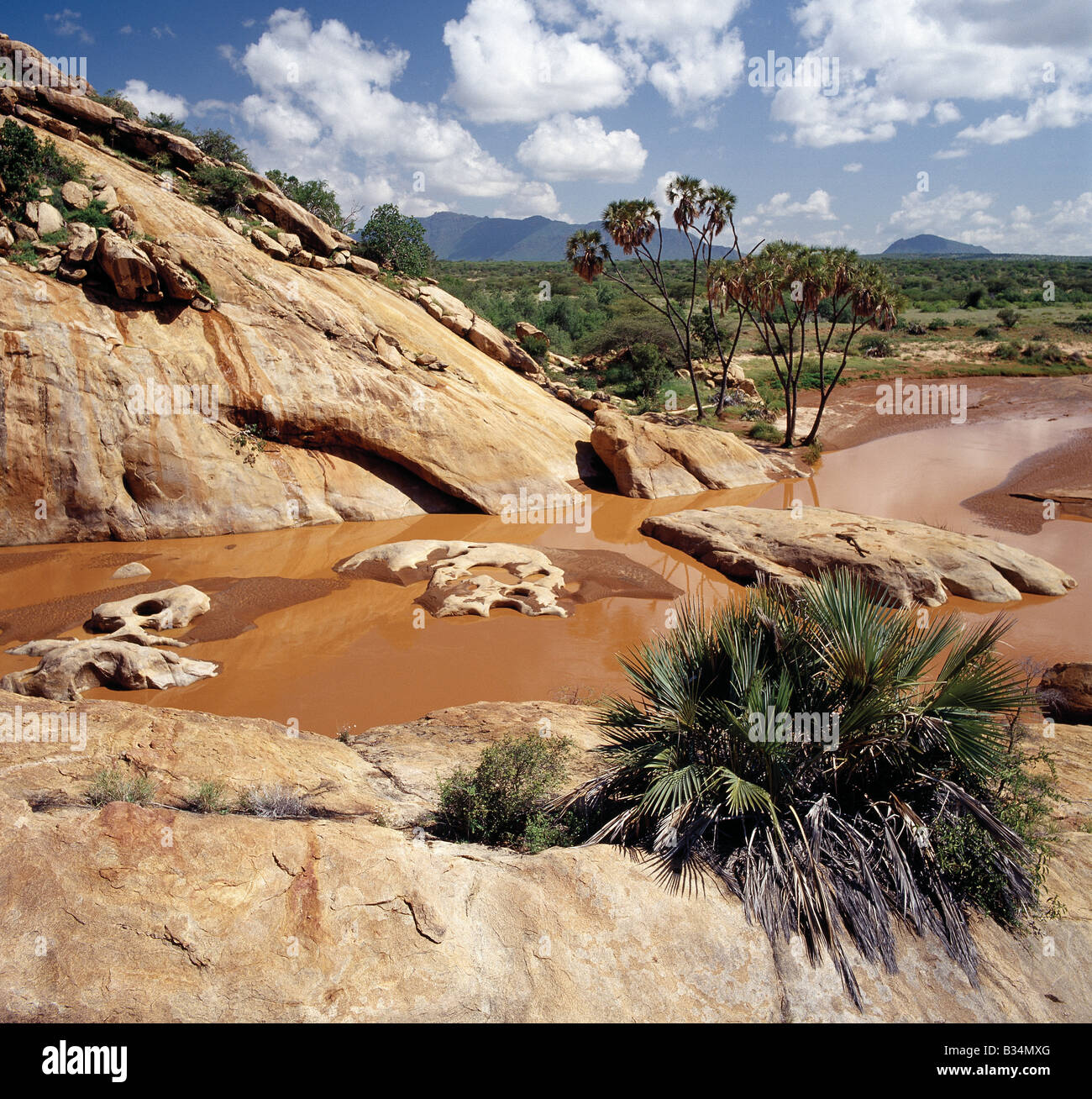 Kenya, Isiolo, Shaba. The Uaso Nyiru River ( a name adapted from the ...