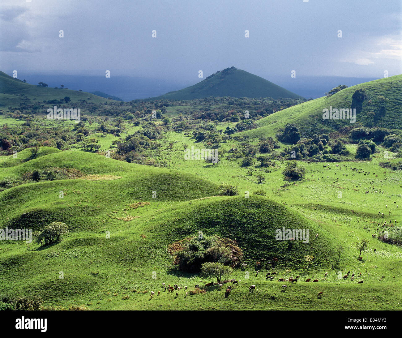 Kibwezi hi-res stock photography and images - Alamy