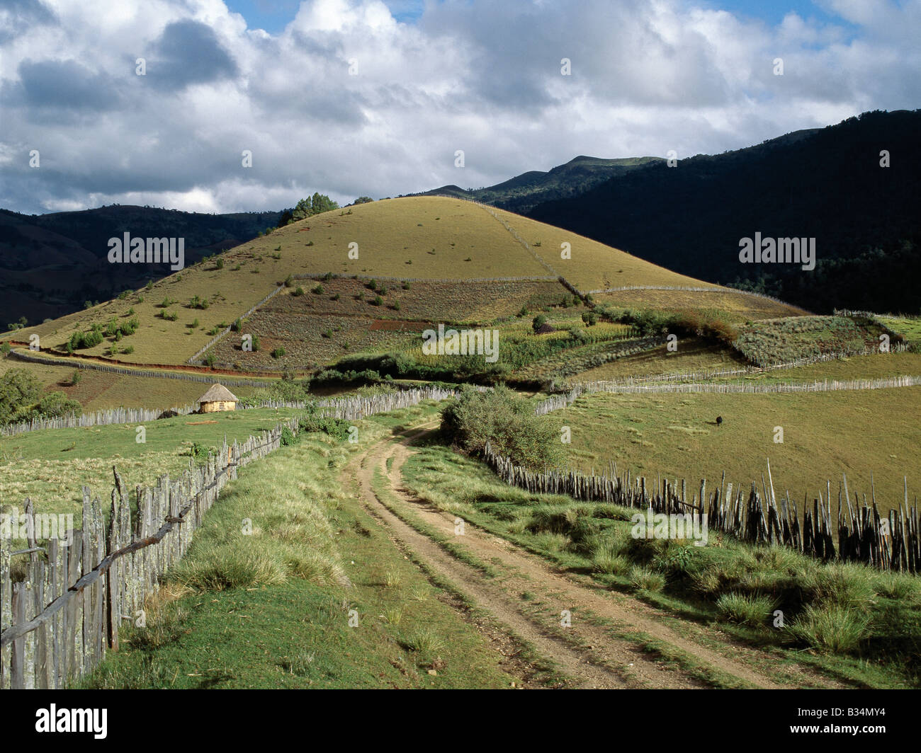 Kenya, Kapenguria, Cherangani Hills. A small dirt road winds its way ...