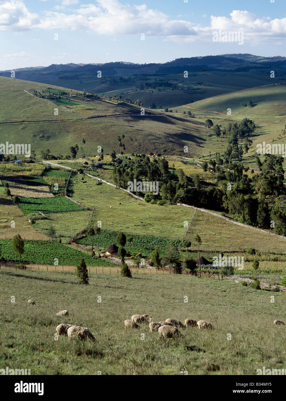 Kapenguria hi-res stock photography and images - Alamy