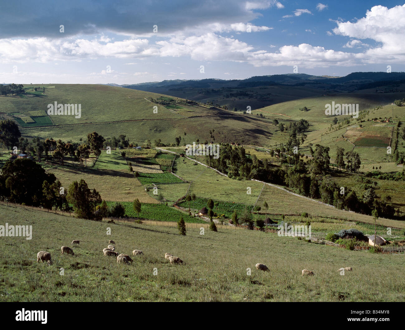 Kapenguria hi-res stock photography and images - Alamy