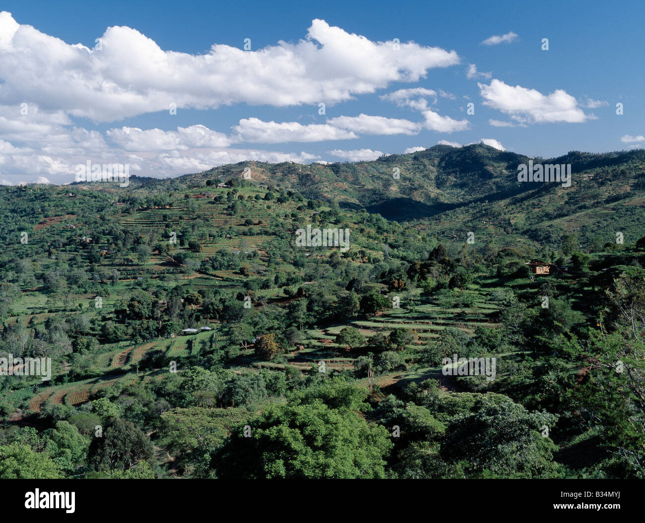 Kenya, Makueni, Utangwa. Fertile farming country in Makueni district ...