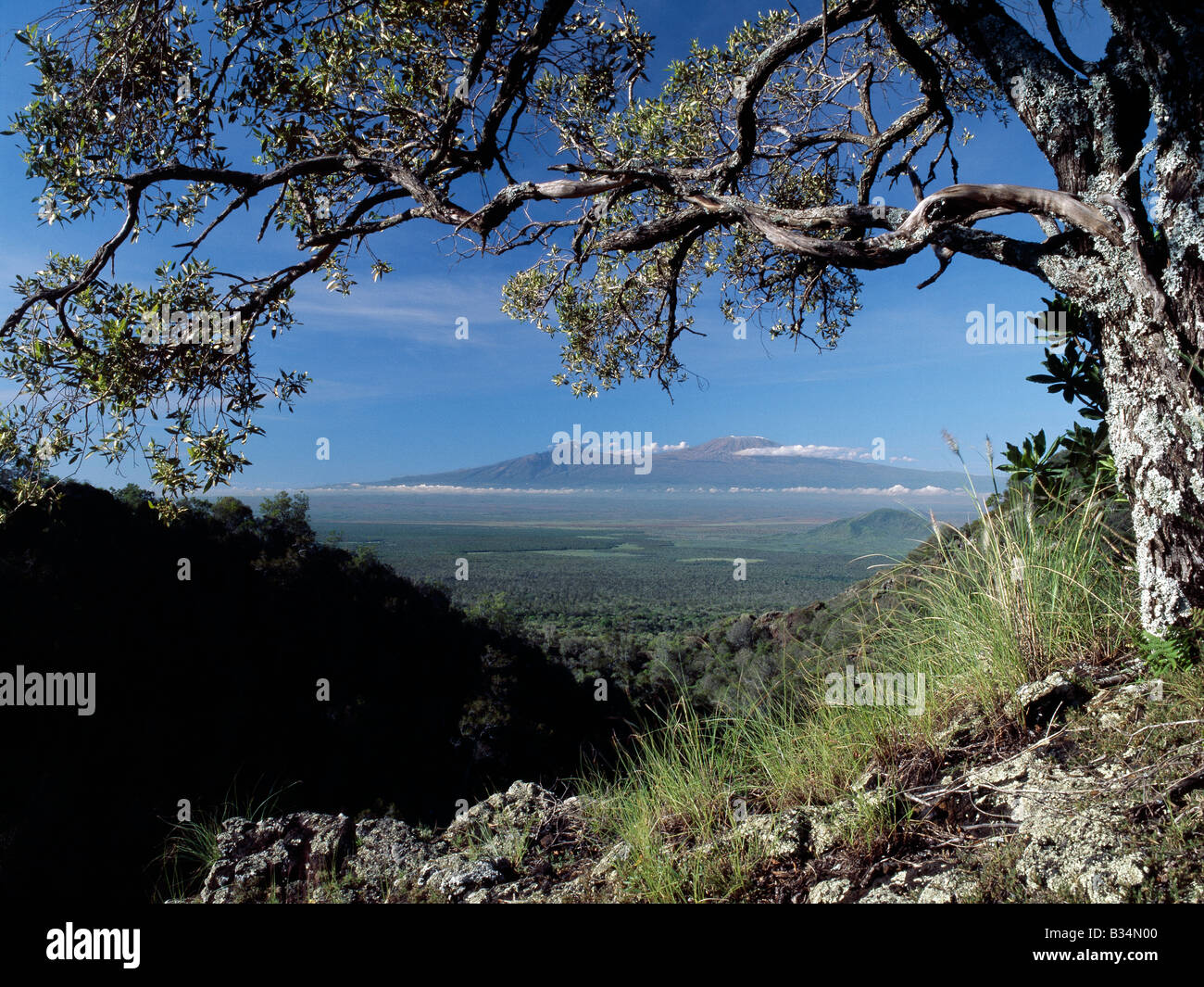 Kenya, Tsavo, Chyulu Hills. A view of Mount Kilimanjaro form the ...