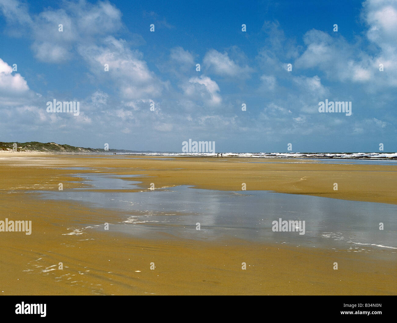 Kenya, Coast Province, Tana Delta. An unspoiled beach just south of the ...