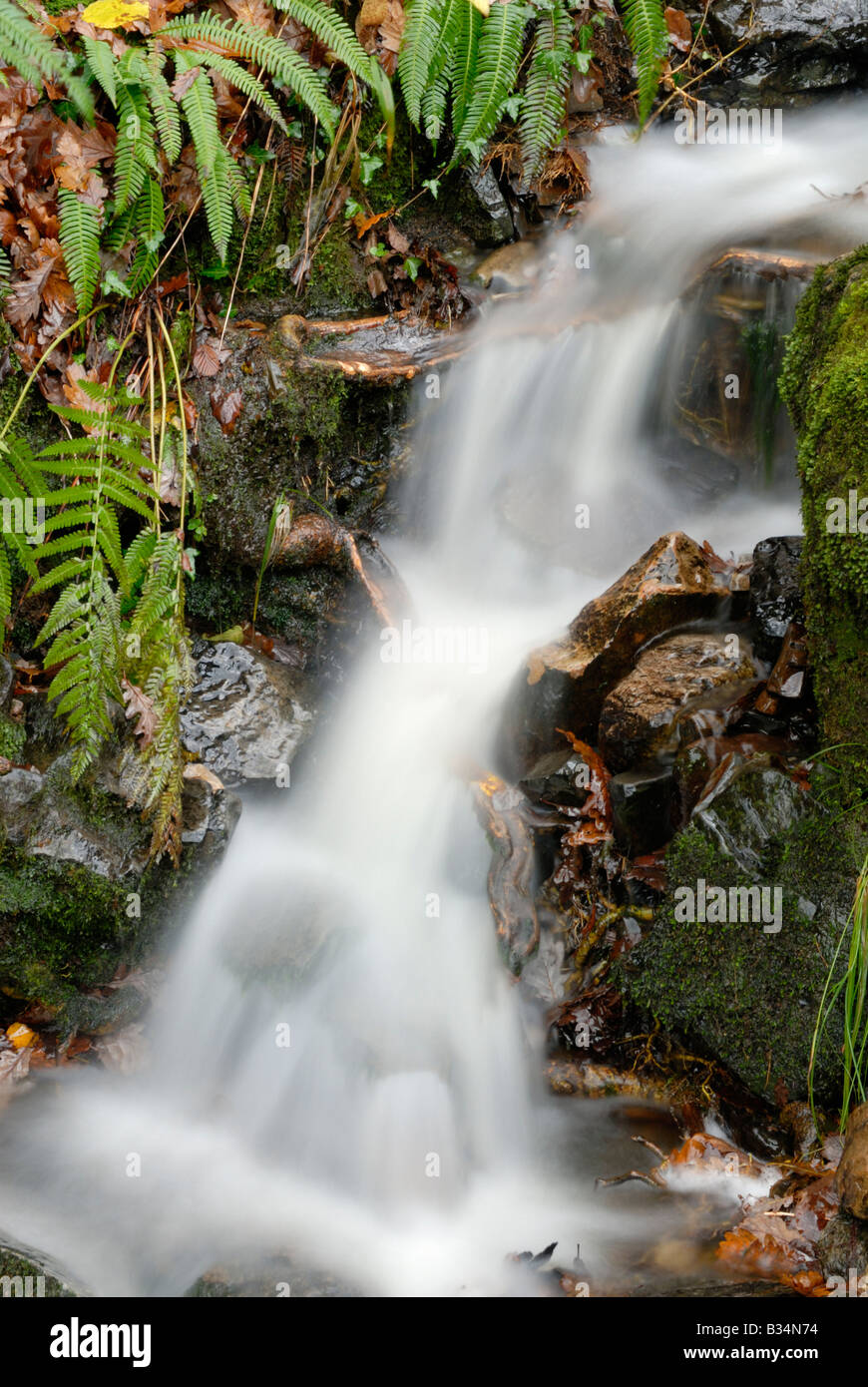 A stream flowing in the Brecon Beacons National Park of South Wales ...