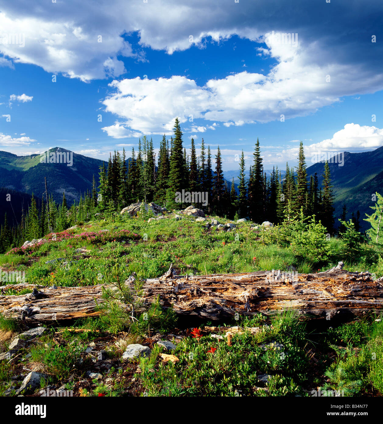 Americas backbone hi-res stock photography and images - Alamy