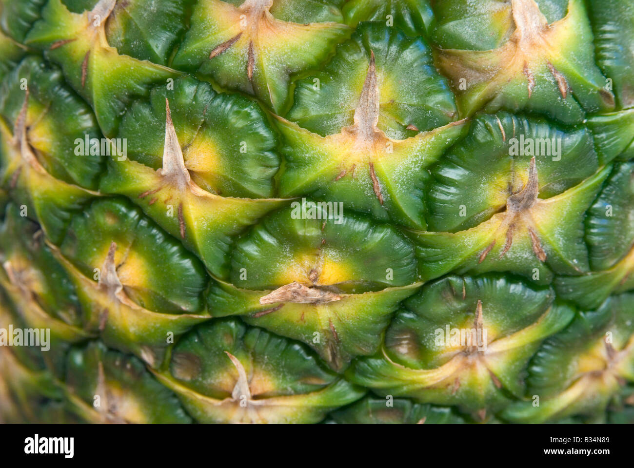 Pineapple pattern hi-res stock photography and images - Alamy