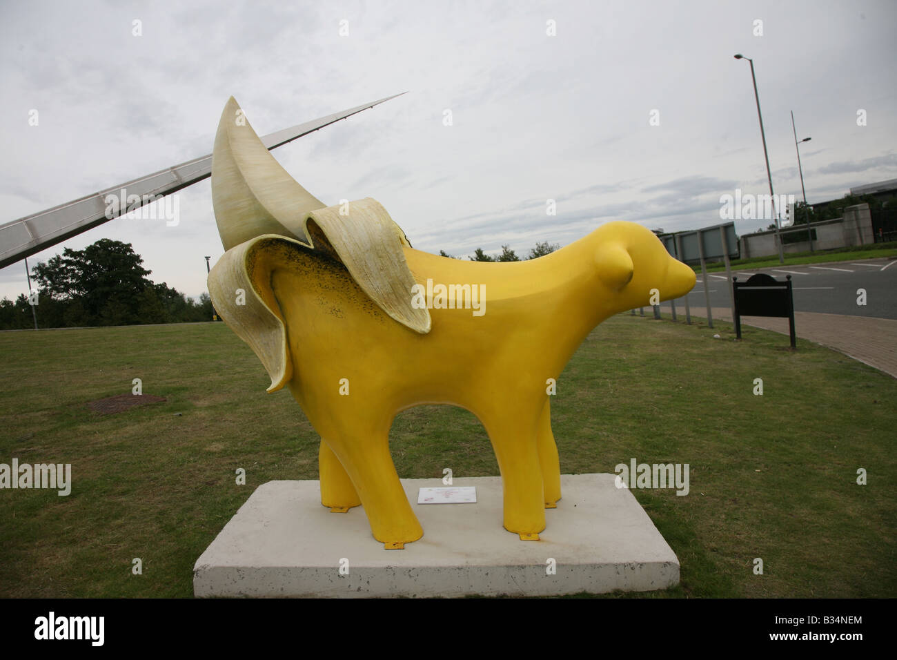 Super lamb banana hi-res stock photography and images - Alamy