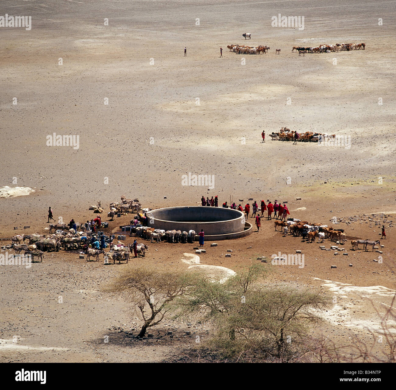 Kenya, Kajiado, Magadi. Maasai water their livestock at a water tank ...