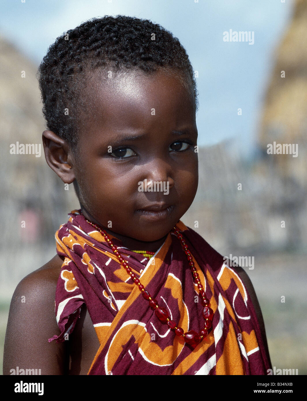 Galla hi-res stock photography and images - Alamy