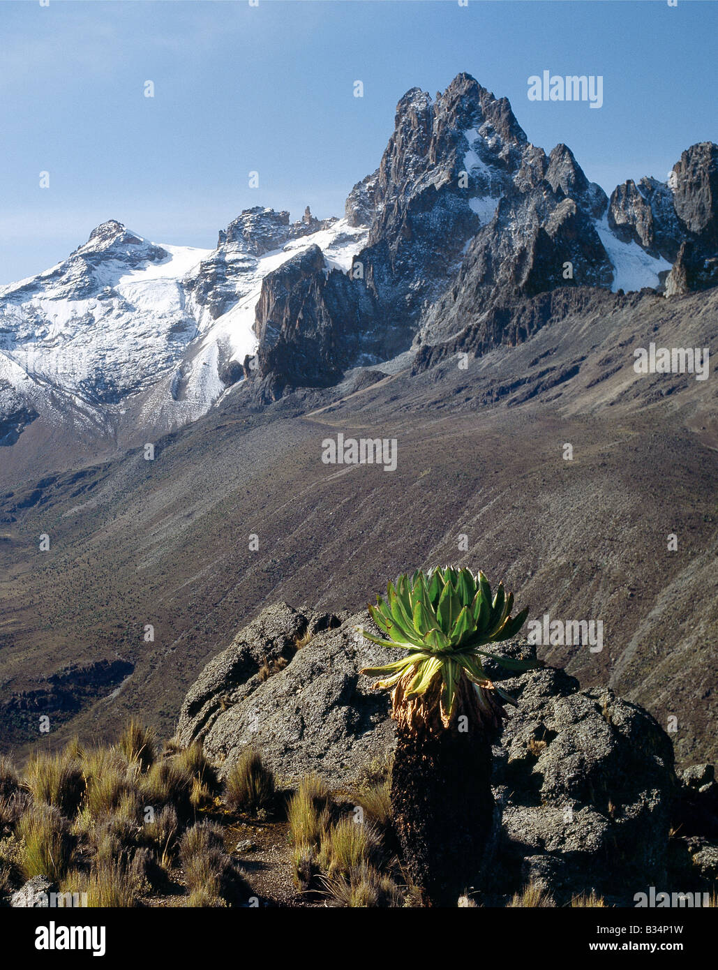 Kenya, Central Highlands, Mount Kenya, 17,058 feet high, is Africa's ...