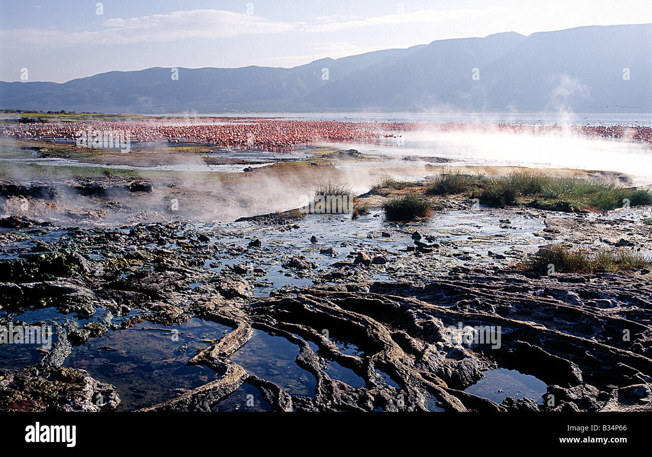 Hot water geyser south africa hi-res stock photography and images - Alamy