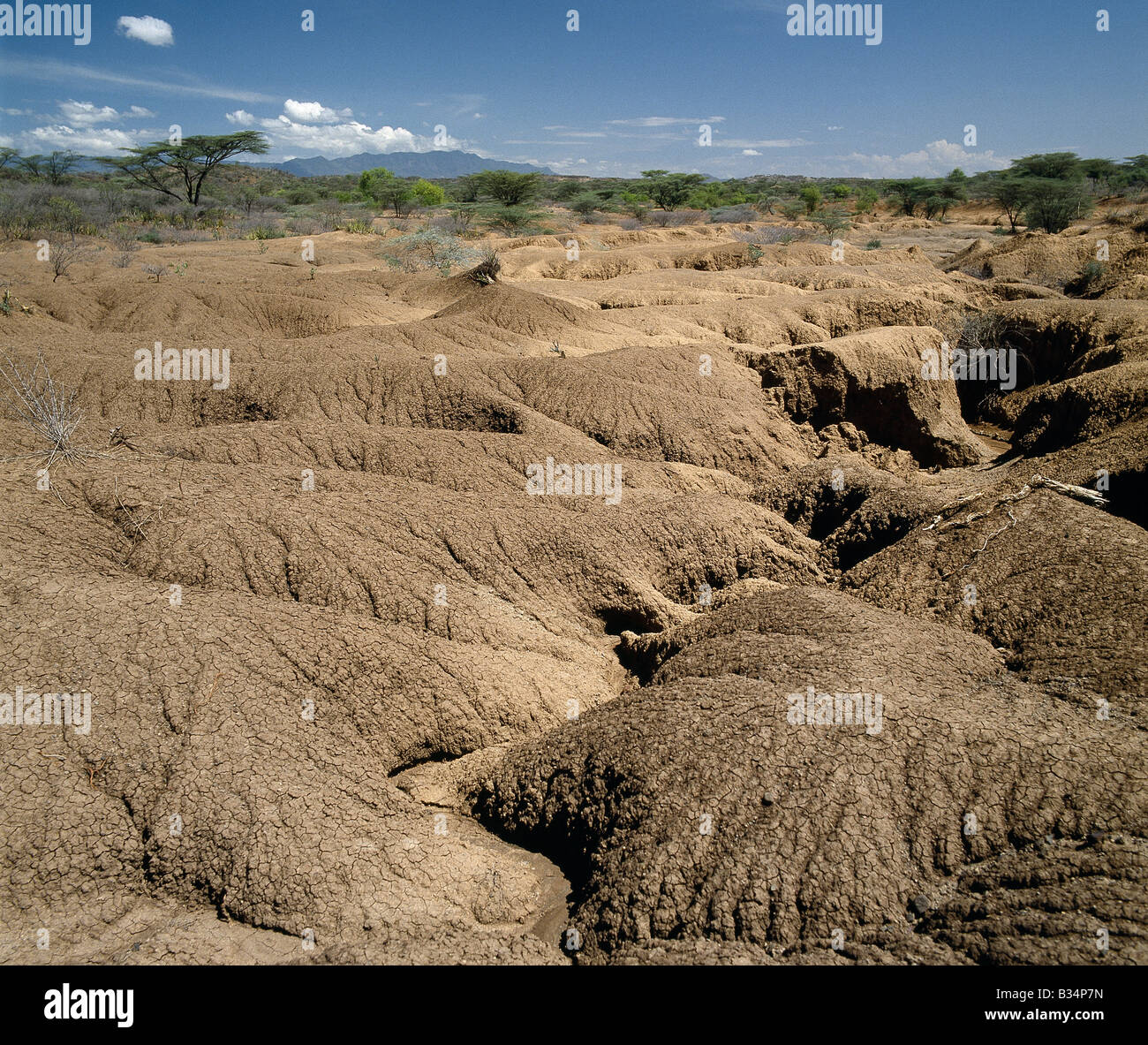 Kenya, Baringo, Marigat. Poor agricultural practices and over-grazing ...