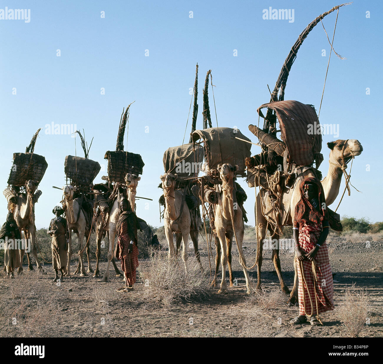 Kenya, Marsabit, North Horr. Women of the nomadic Gabbra tribe prepare ...