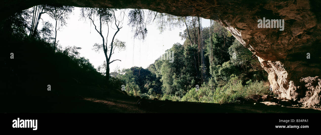 Kenya, Mount Elgon, Kitum Cave. Largest of the caves on the massive ...