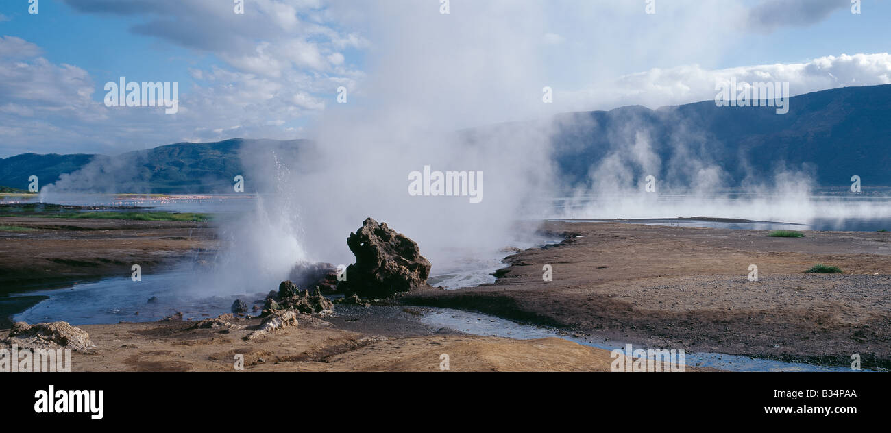 Kenya, Baringo, Lake Bogoria. Geysers, hot springs and thousands of ...