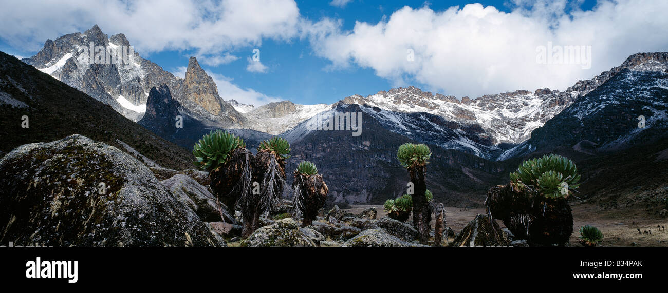 Kenya, Central Highlands, Mount Kenya. Mount Kenya, 17,058 feet, is ...