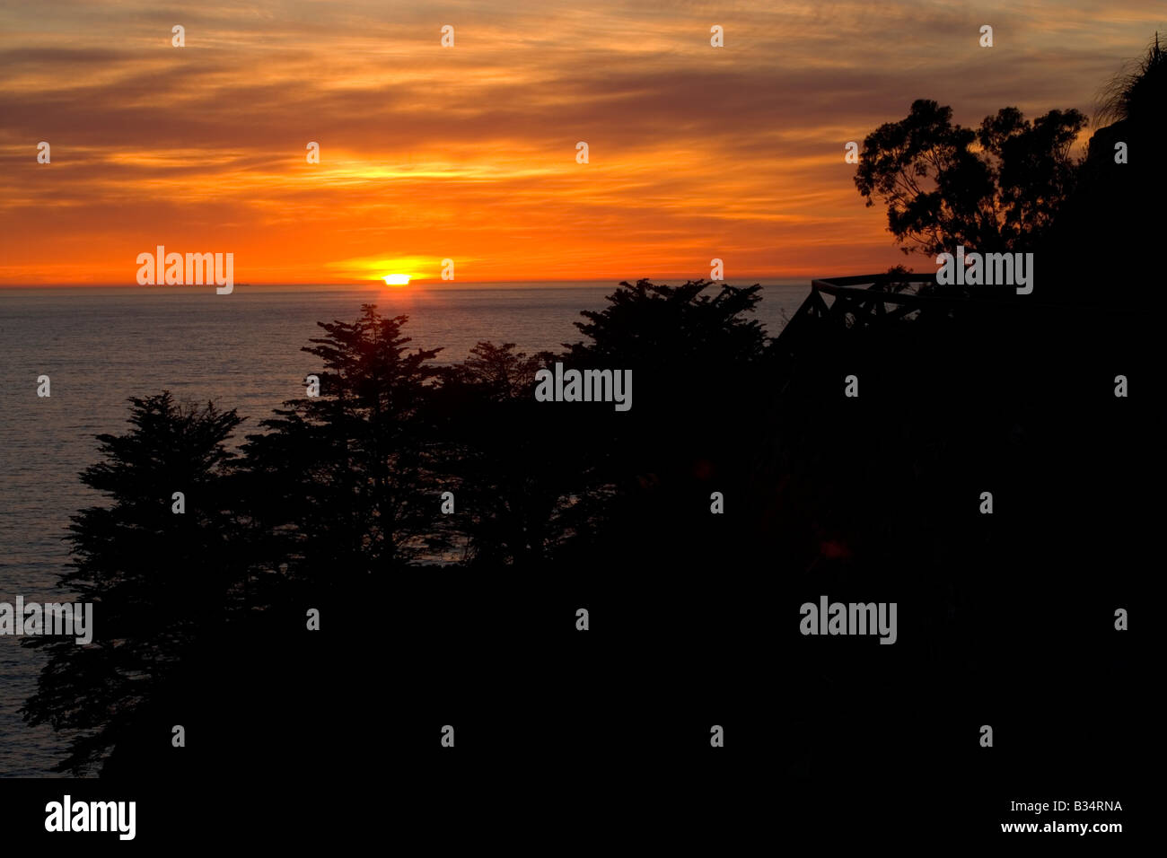 Monterey pines stand gaurd against a Big Sur sunset Julia Pheiffer Beach State Park Stock Photo ...