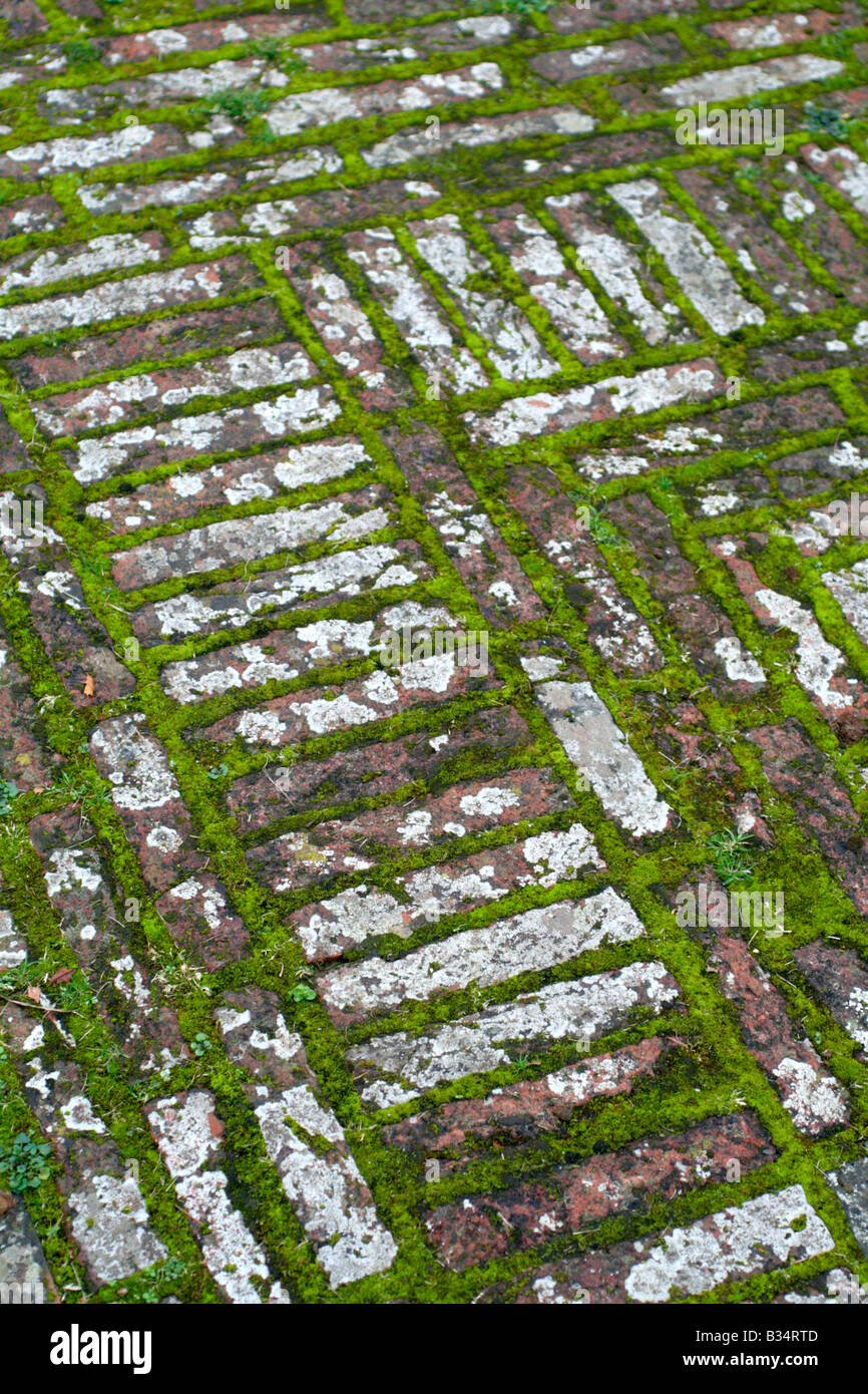 Materials can hi-res stock photography and images - Alamy