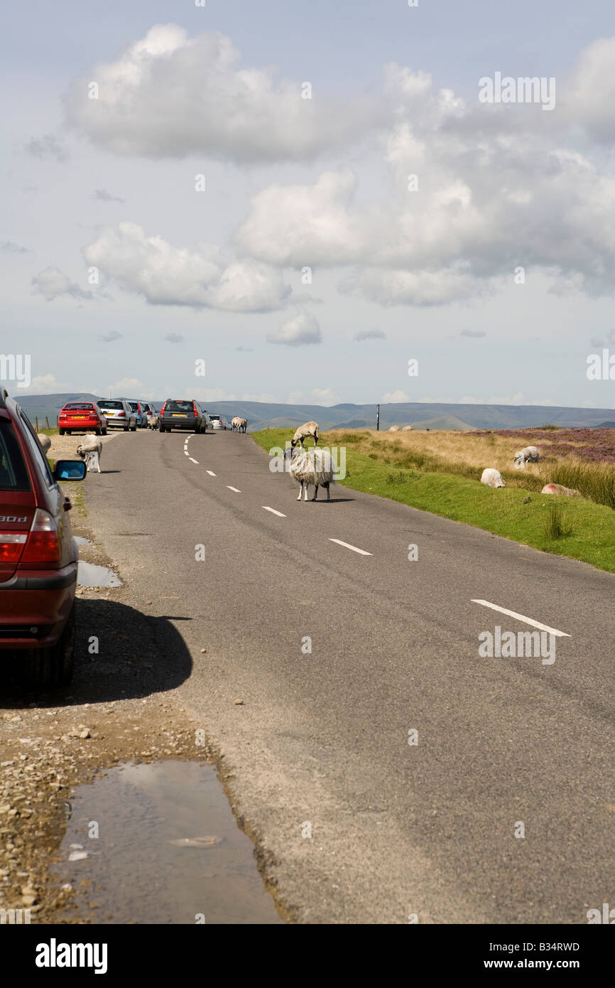 Unfenced road hi-res stock photography and images - Alamy