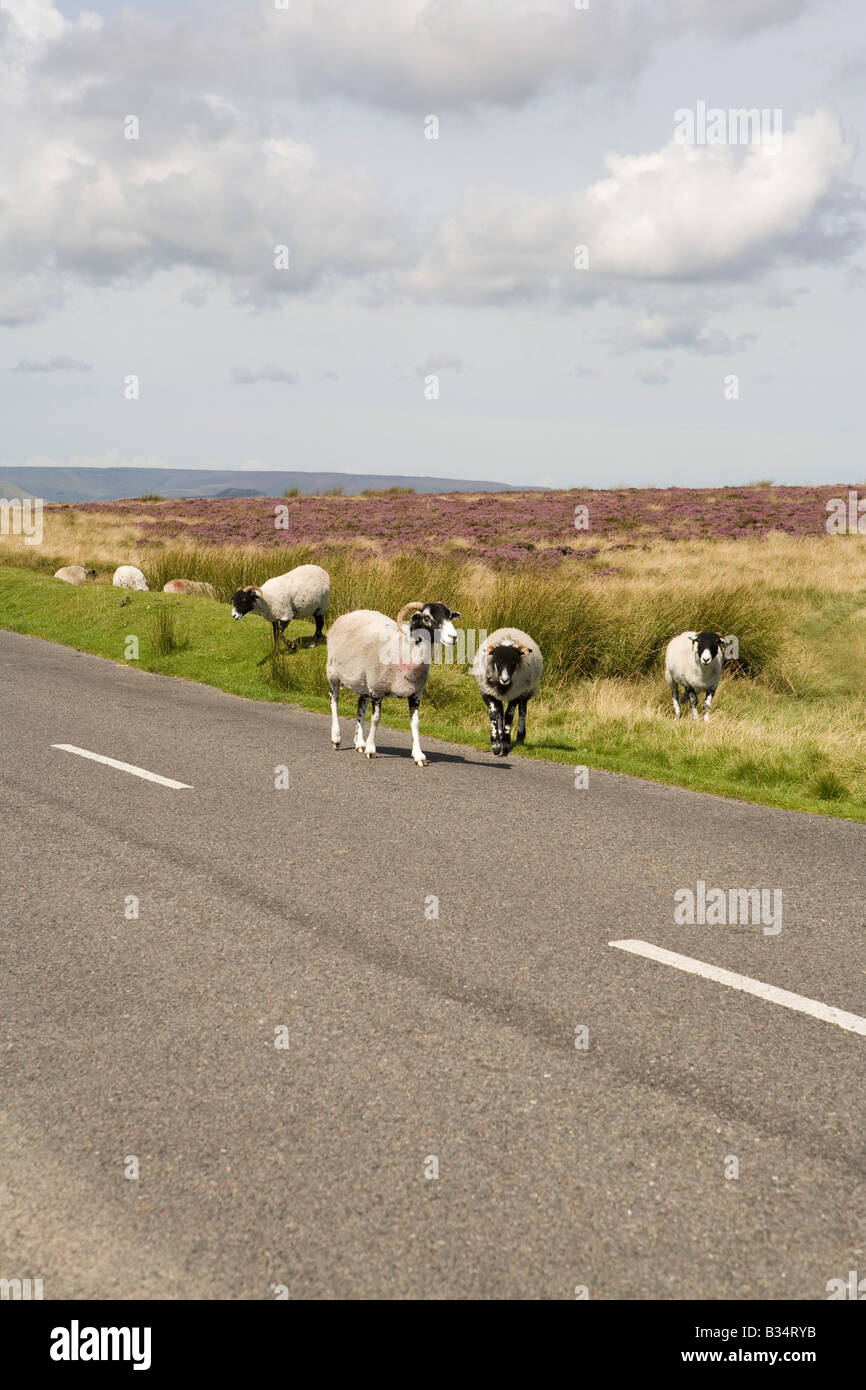 Unfenced road hi-res stock photography and images - Alamy