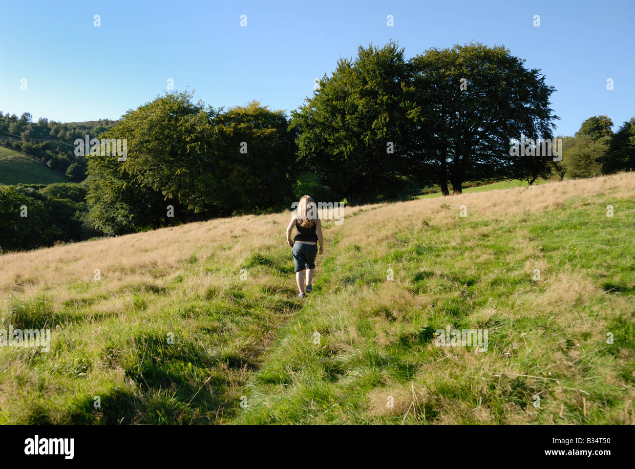 Walking in welsh countryside hi-res stock photography and images - Alamy