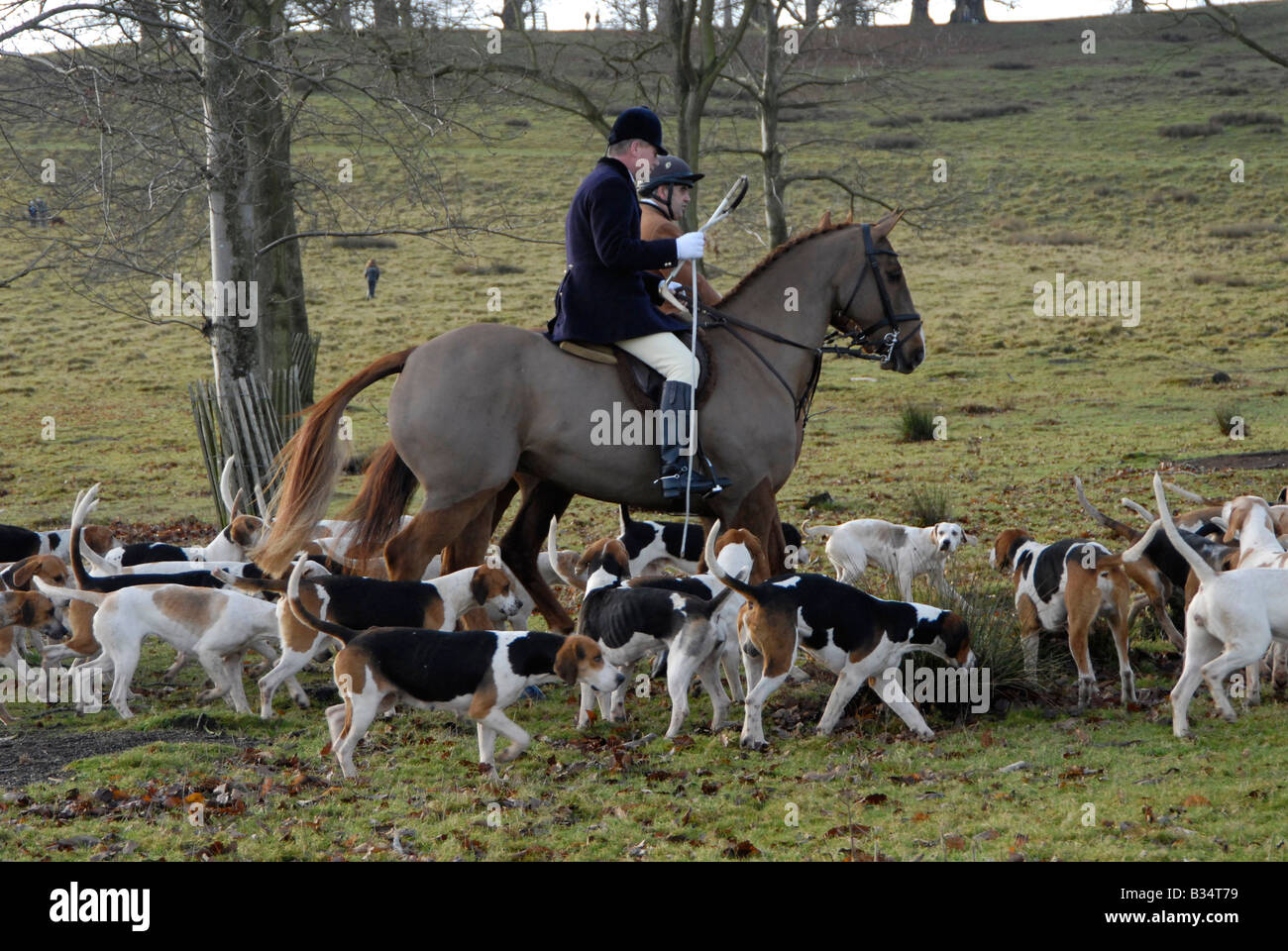 The hound and the huntsman hi-res stock photography and images - Alamy