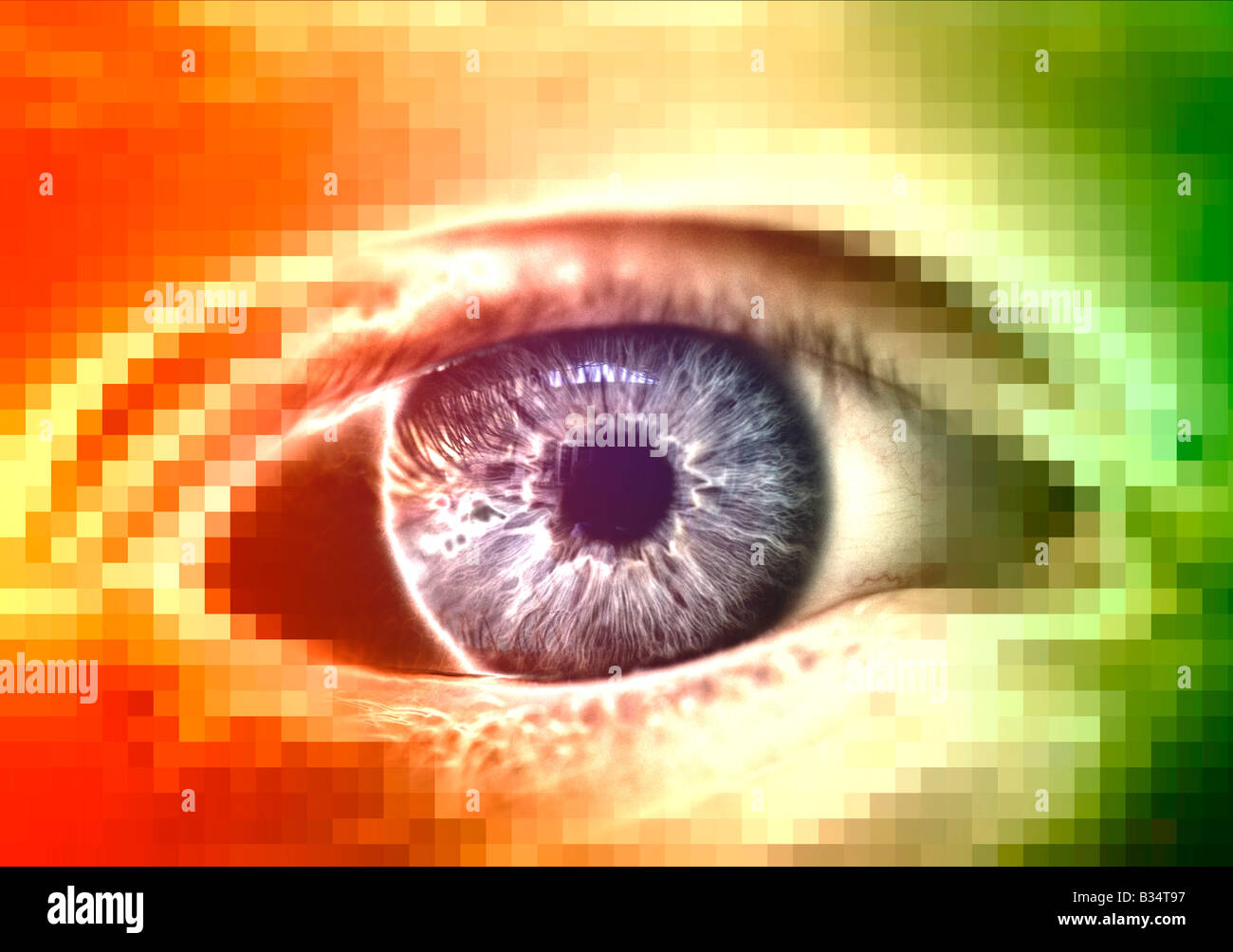 Human eye closeup hi-res stock photography and images - Alamy