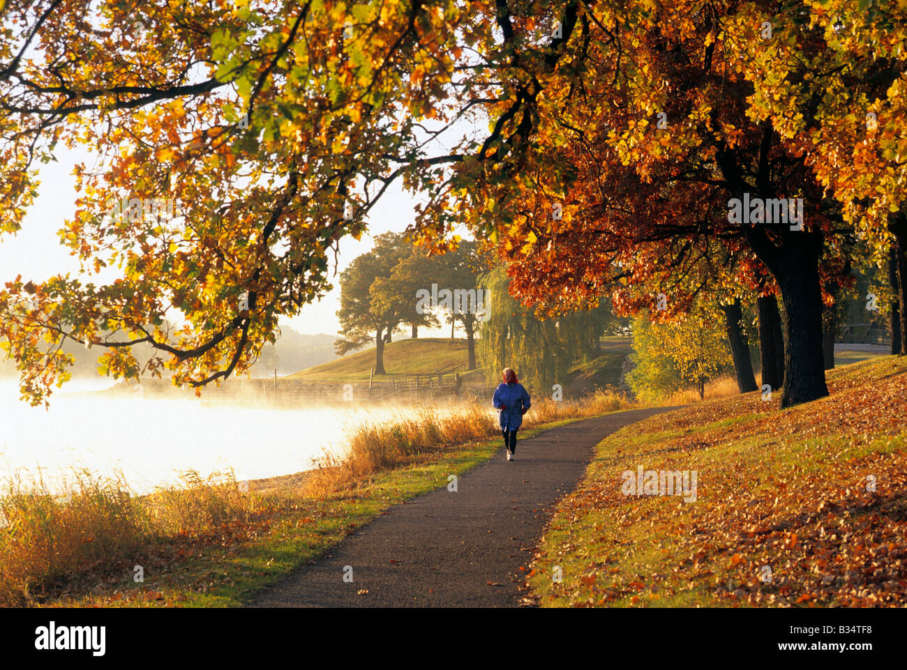LONE WALKER ON PATH IN HIDDEN FALLS PARK ALONG THE MISSISSIPPI RIVER ...
