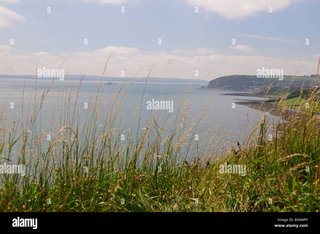 Belfast lough hi-res stock photography and images - Alamy