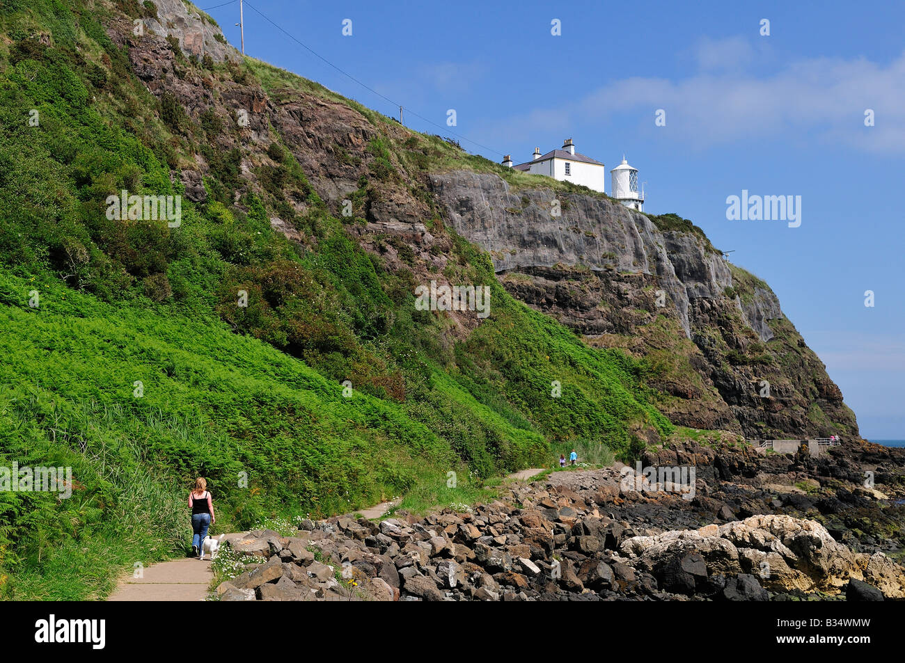 Whitehead lighthouse on a bright summers day Stock Photo - Alamy
