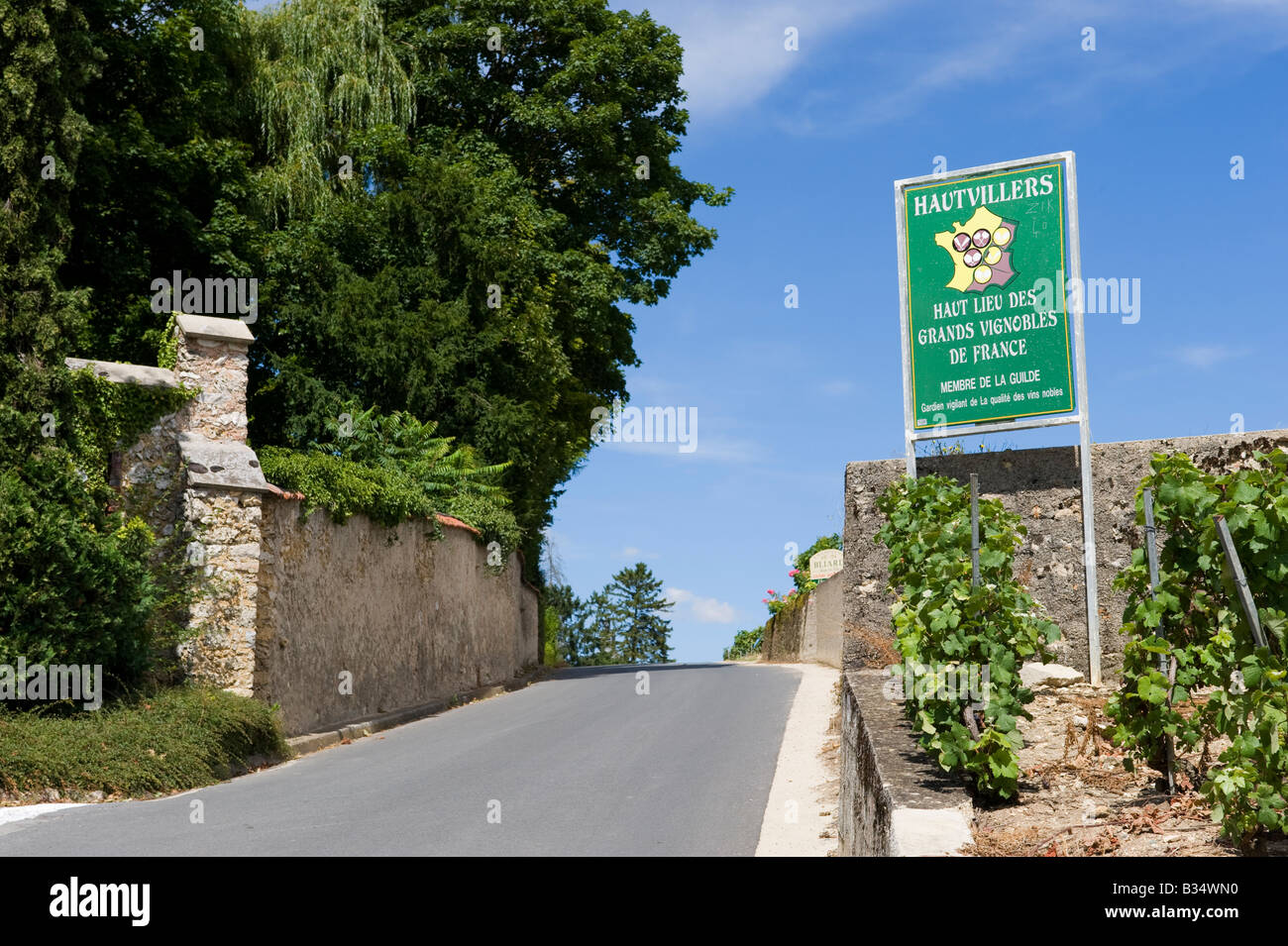 hautvillers vineyards france Stock Photo - Alamy