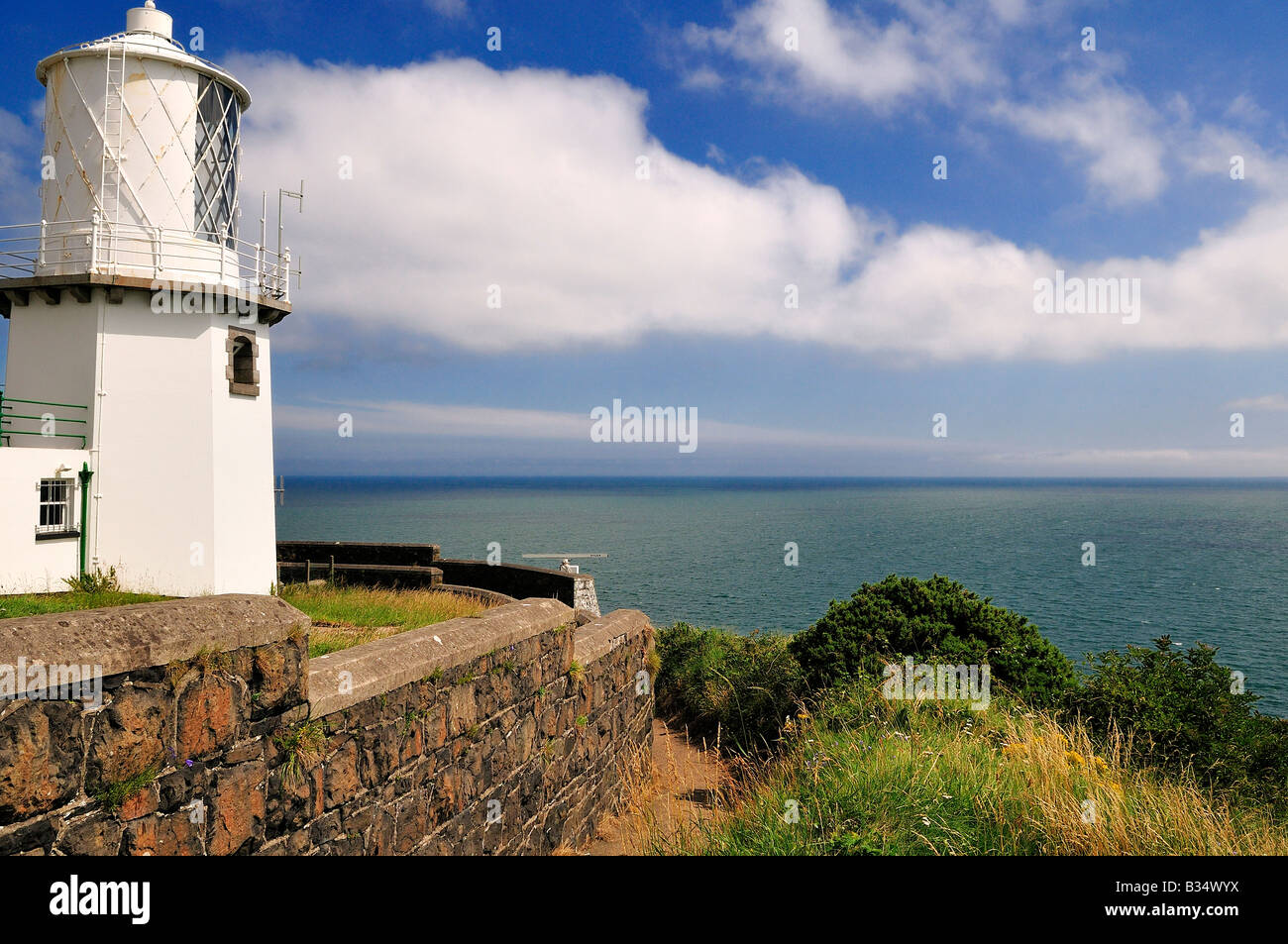 Sea Whitehead High Resolution Stock Photography and Images - Alamy