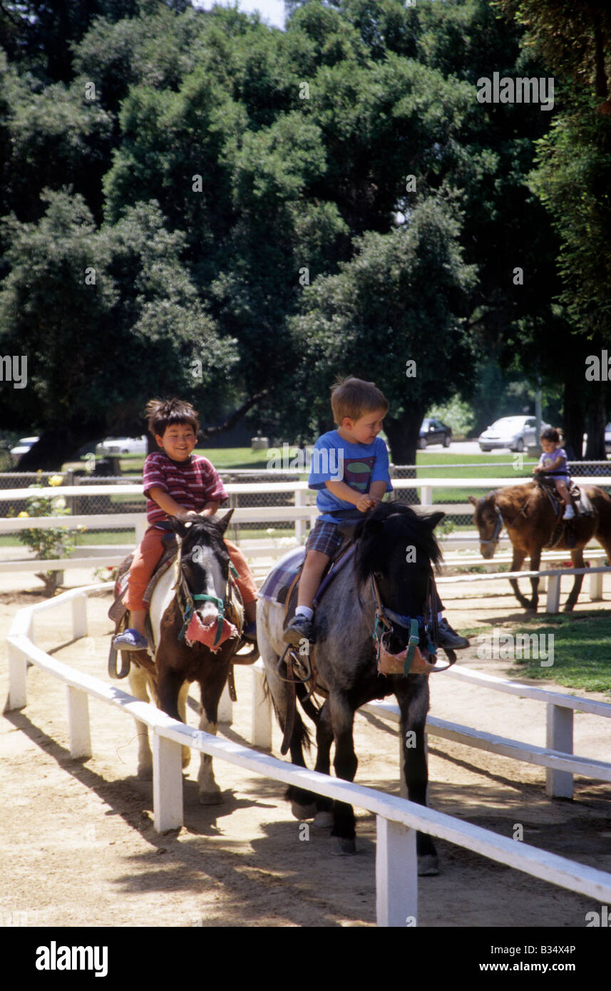 Griffith park horse hi-res stock photography and images - Alamy