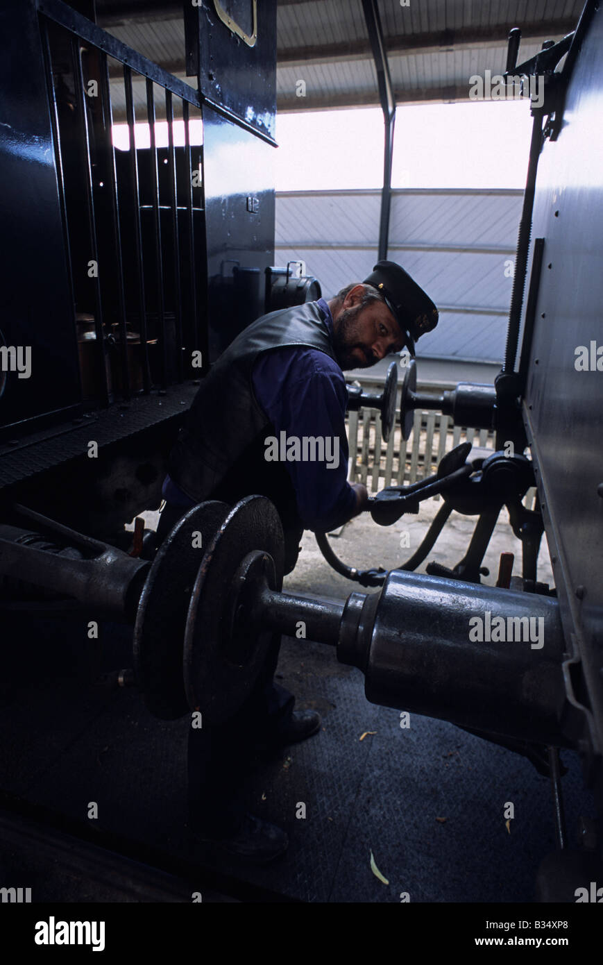 Engineer bird hi-res stock photography and images - Alamy