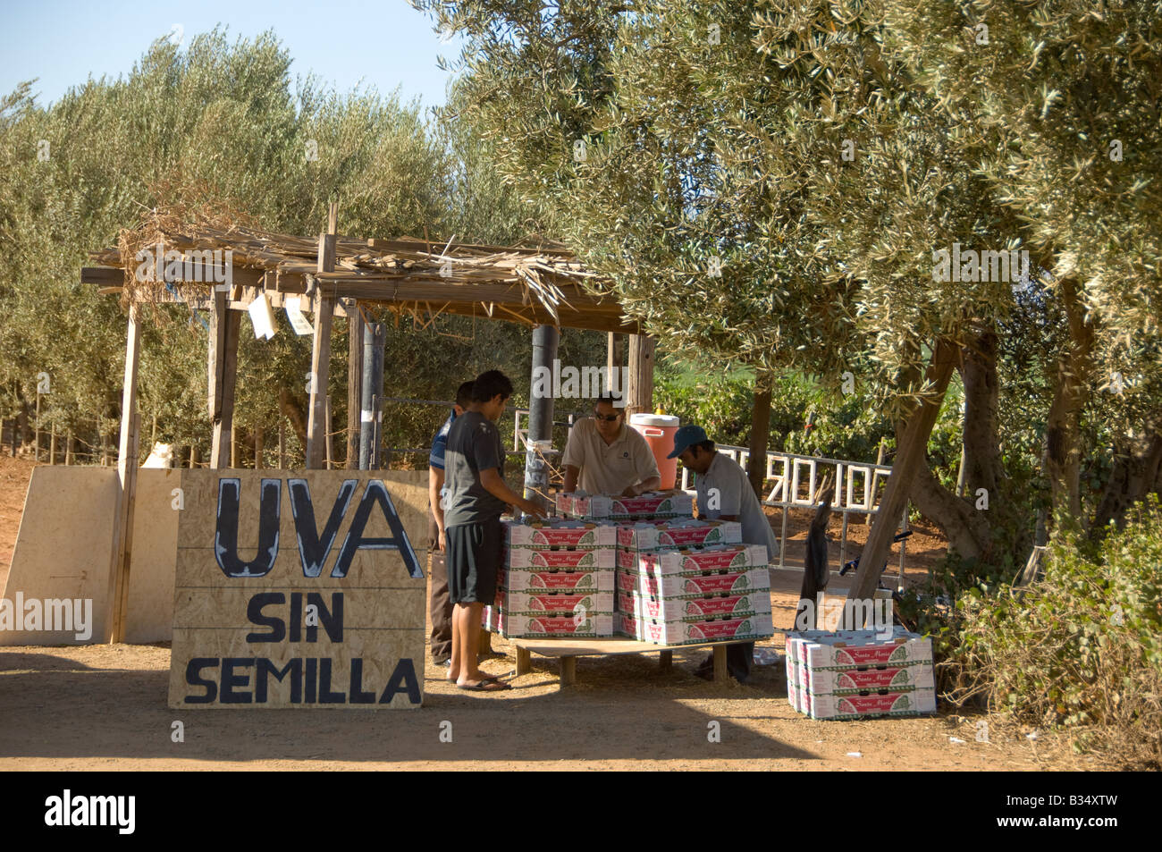 Cherry stand in Baja California, Mexico Stock Photo - Alamy