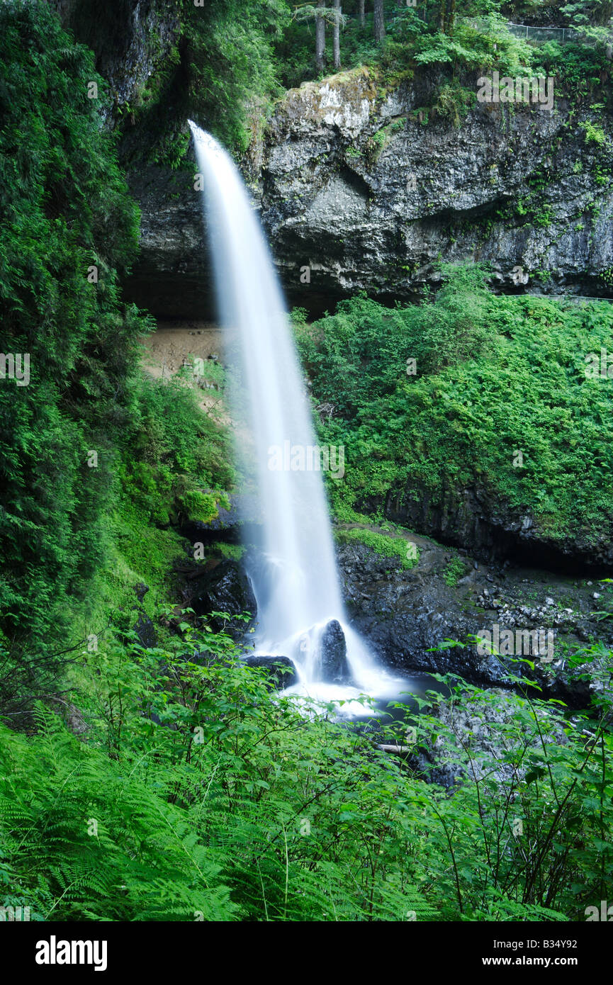 Middle North Falls cascades over the Falls Trail at Silver Falls State ...