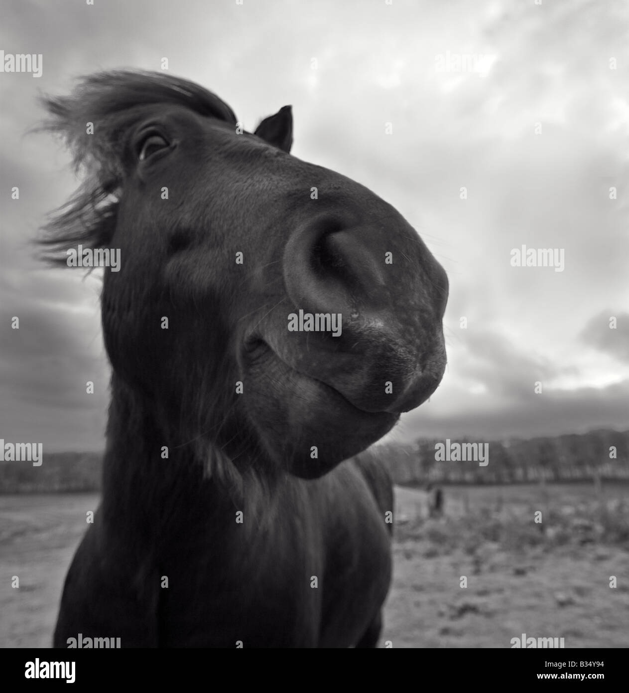 Comical hi-res stock photography and images - Alamy