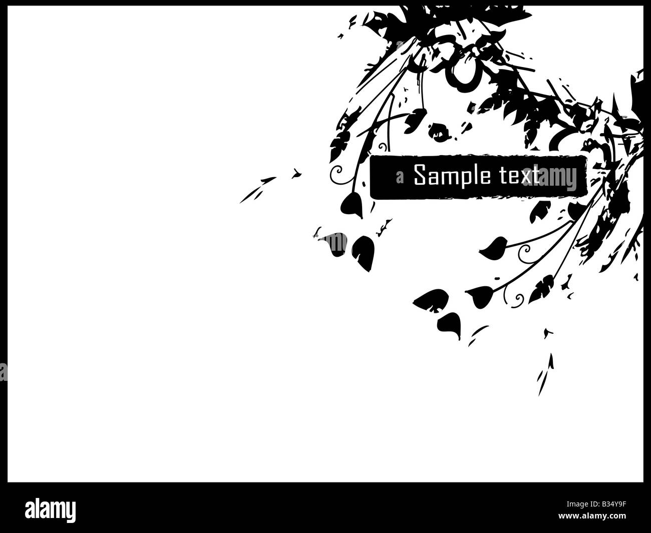 floral design with text template on isolated background Stock Photo - Alamy