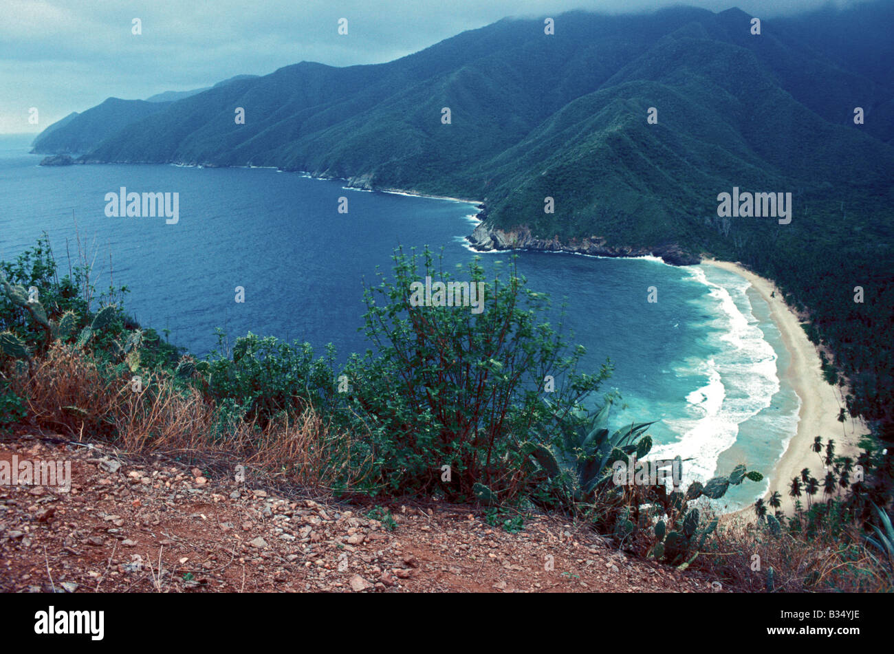 Choroni hi-res stock photography and images - Alamy