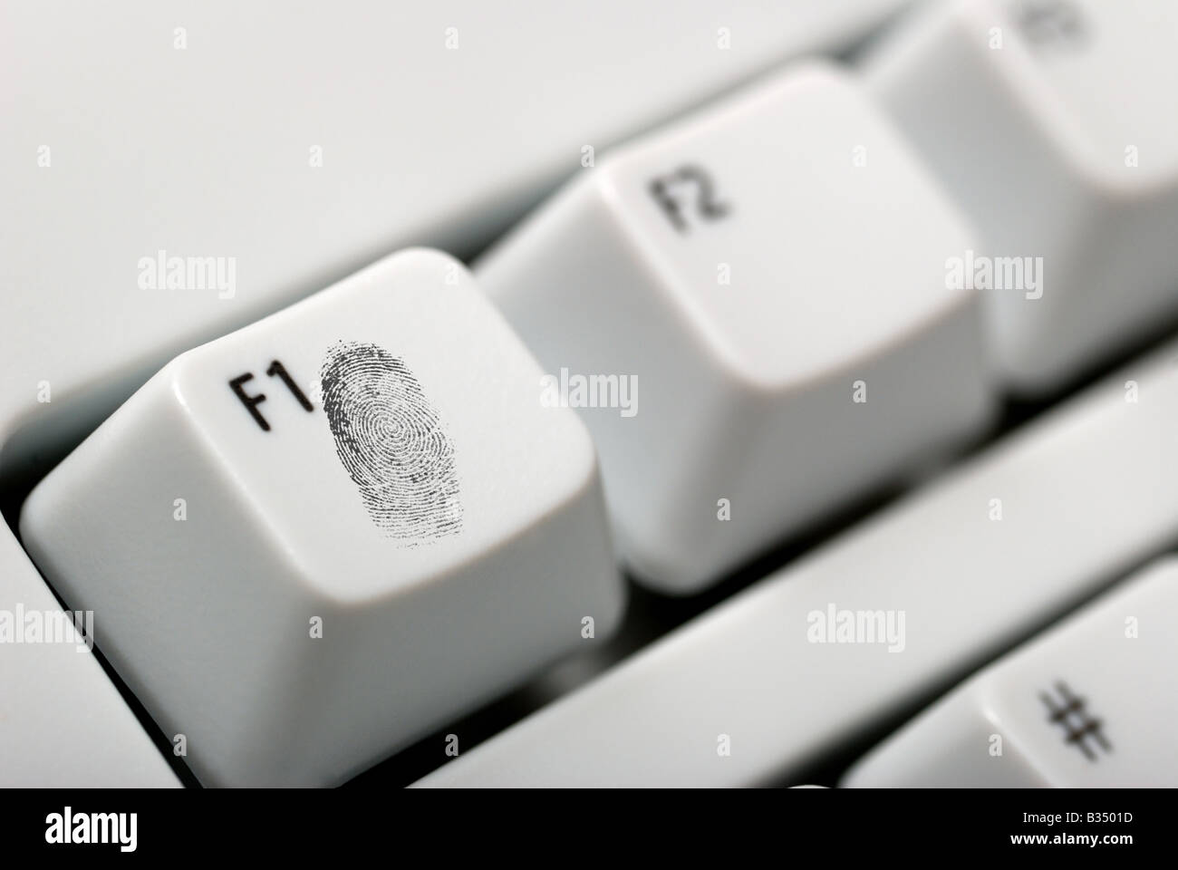 keyboard and fingerprint The computer device for input of symbols Stock ...