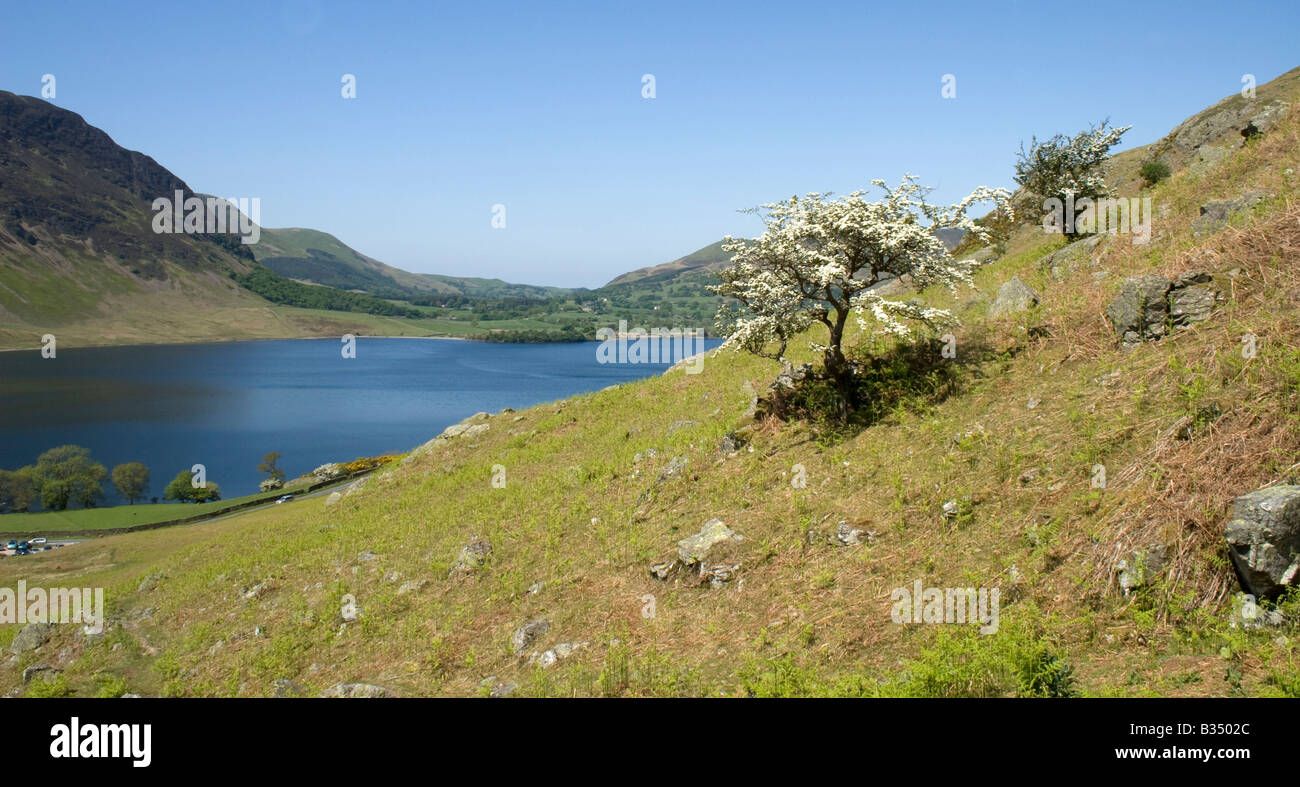 Landscape Crummock Water Melbreak Loweswater Fell Lake District ...