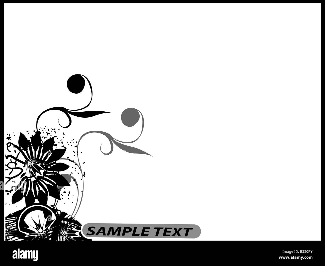 floral design with swirls and sample text on isolated background Stock ...