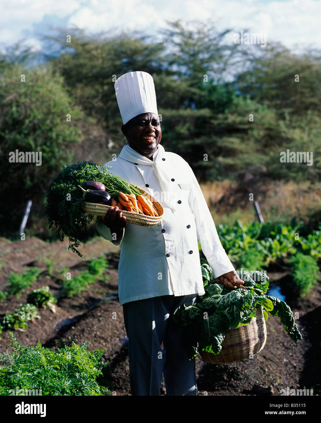 Kenya, Amboseli. Chef collecting fresh vegetables in the kitchen garden ...