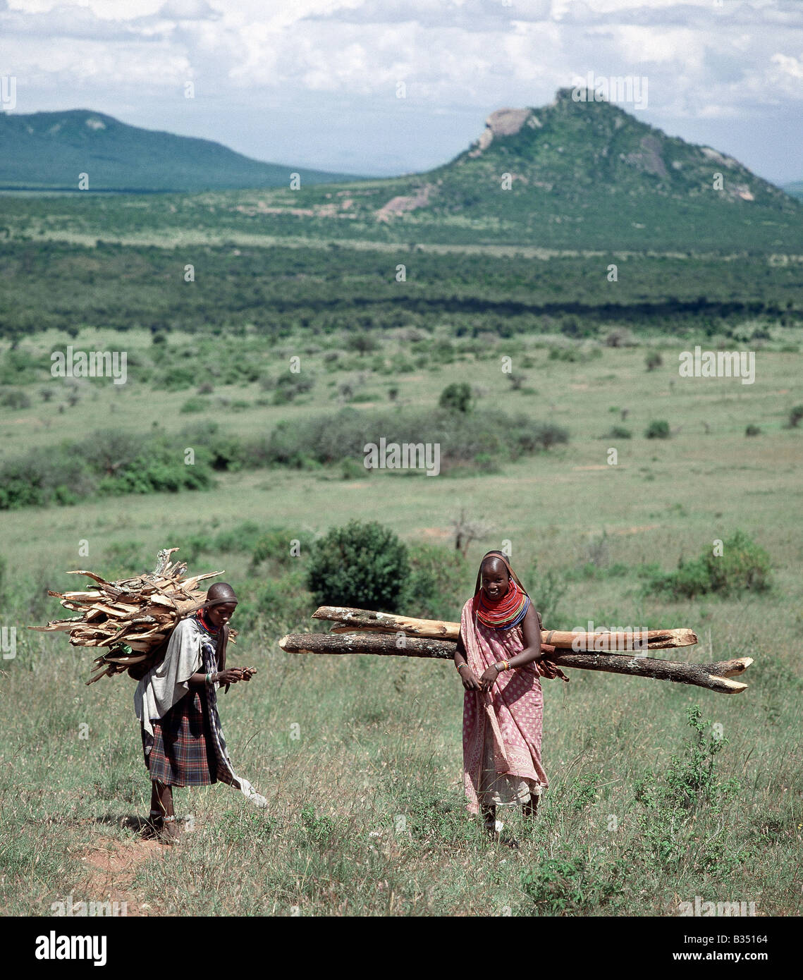 African women collecting firewood hi-res stock photography and images ...