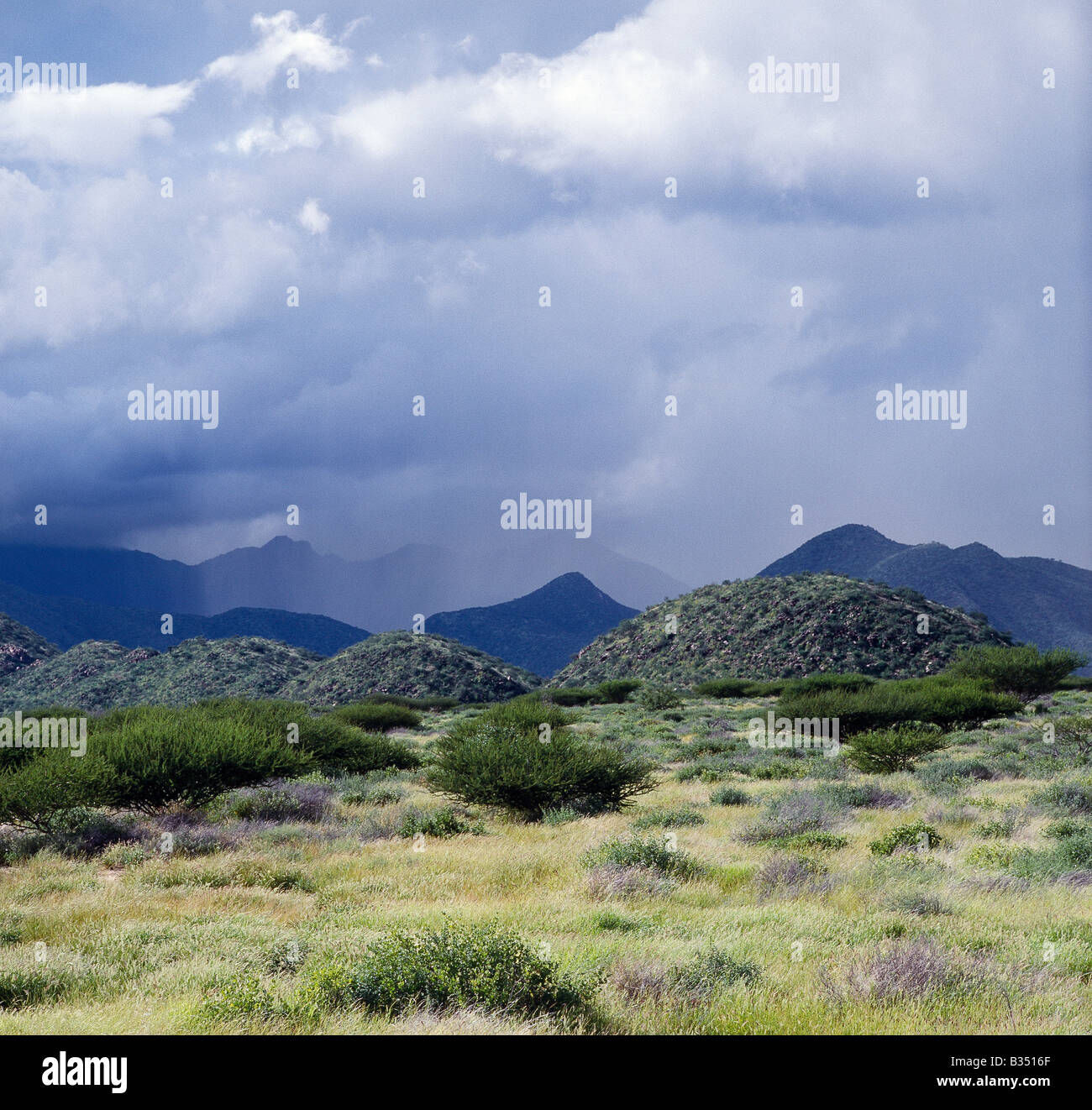 Kenya, South Horr Valley, South Horr. A rare rainstorm lashes the ...