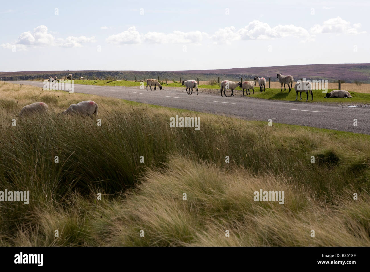 Unfenced road hi-res stock photography and images - Alamy